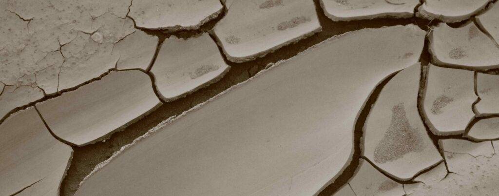 What is silt? – Soil pt. 3 – Better Organix